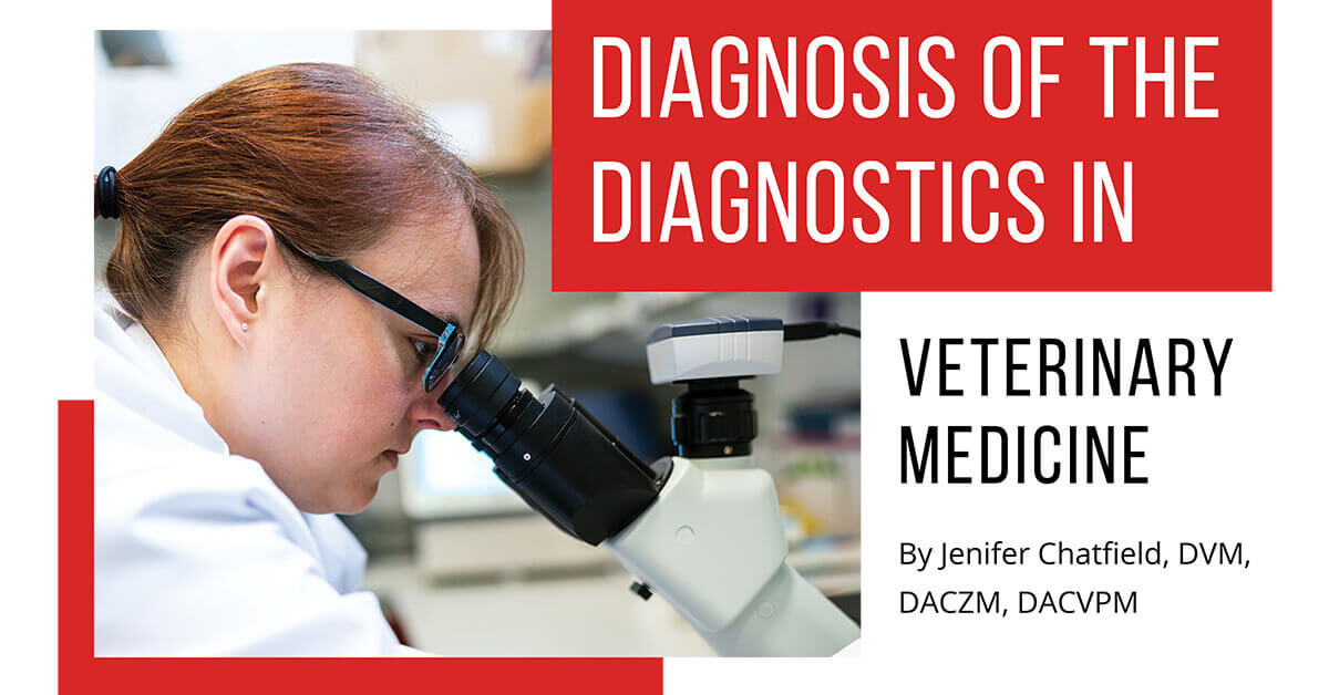 Diagnosis of the Diagnostics in Veterinary Medicine | PetVet Magazine