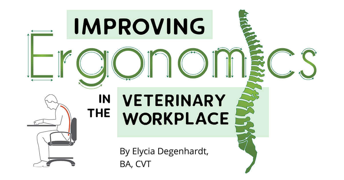 Improving Ergonomics in the Veterinary Workplace | PetVet Magazine