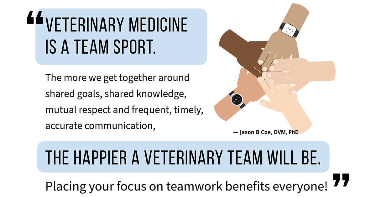 Veterinarian Life Advice - PetVet Magazine