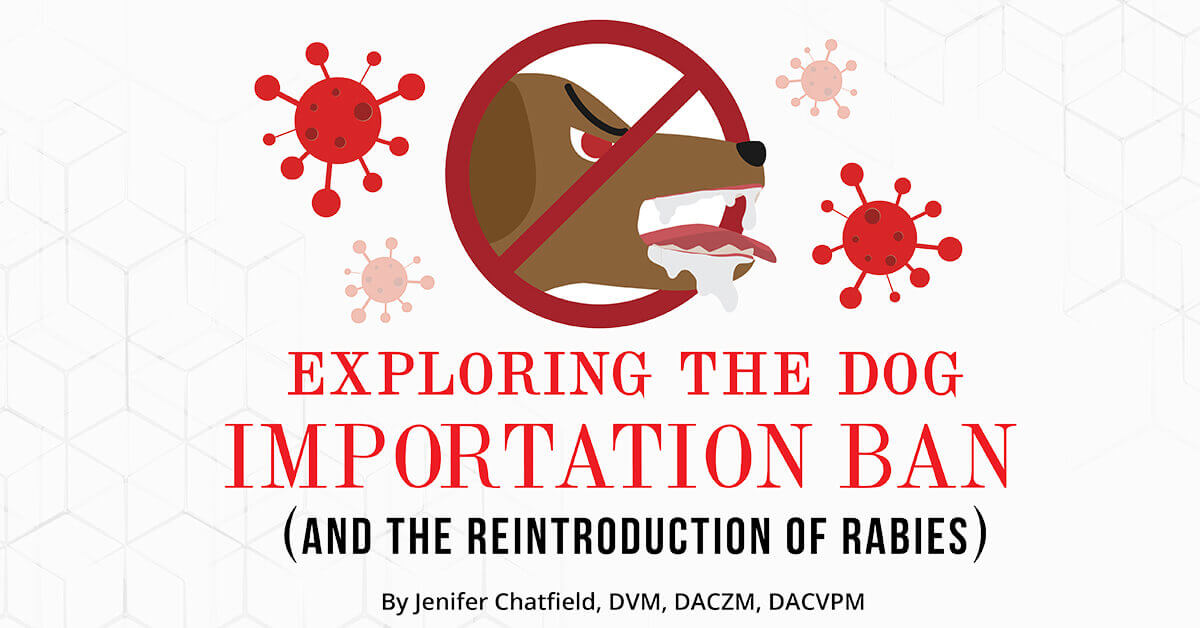 Exploring the Dog Importation Ban (And the Reintroduction of Rabies)