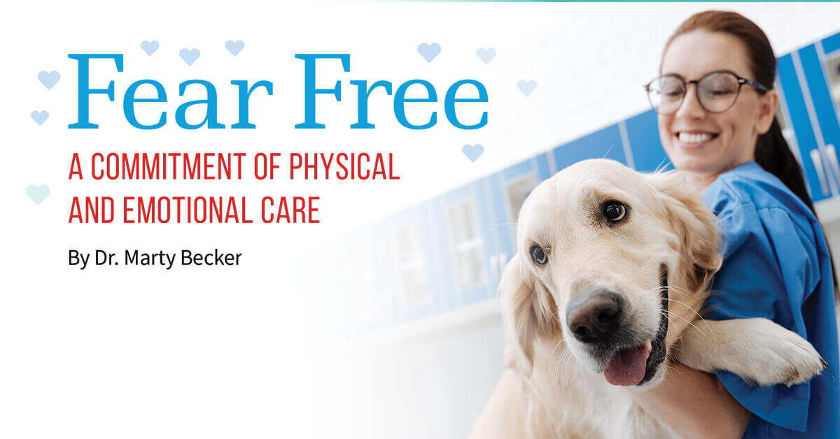 Fear Free: A Commitment of Physical and Emotional Care