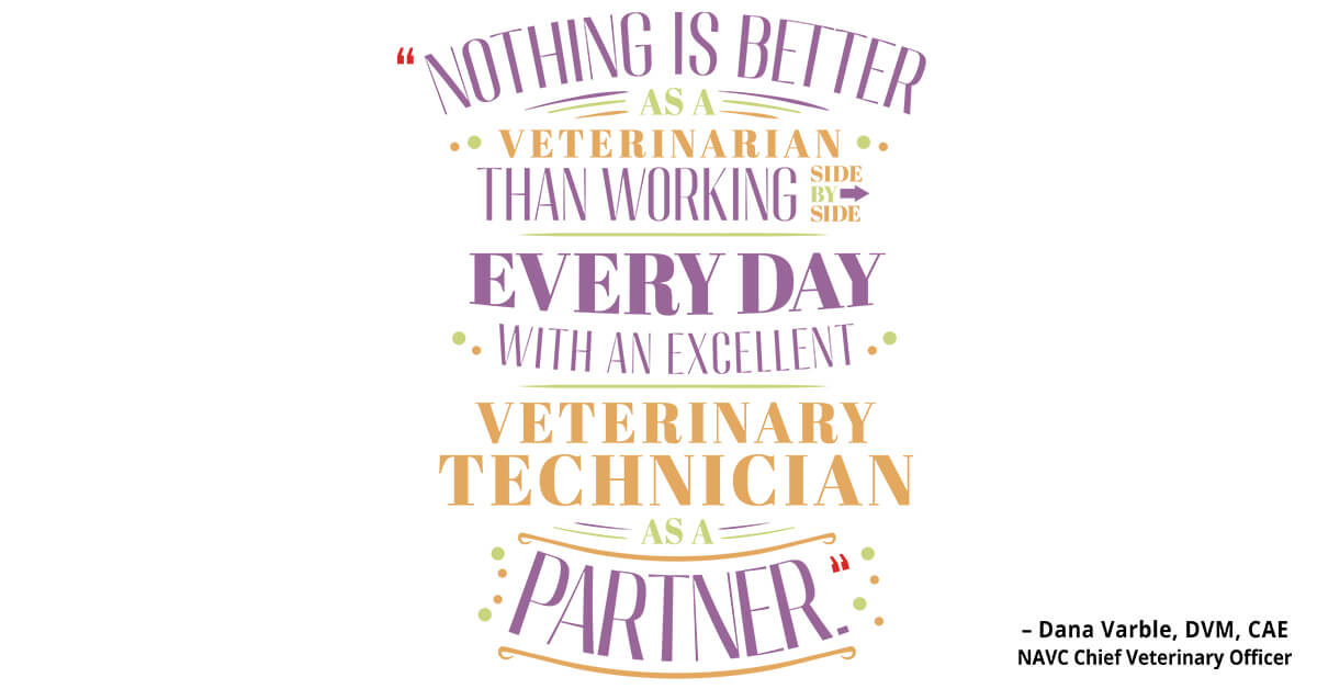 Veterinarian Life Advice - PetVet Magazine