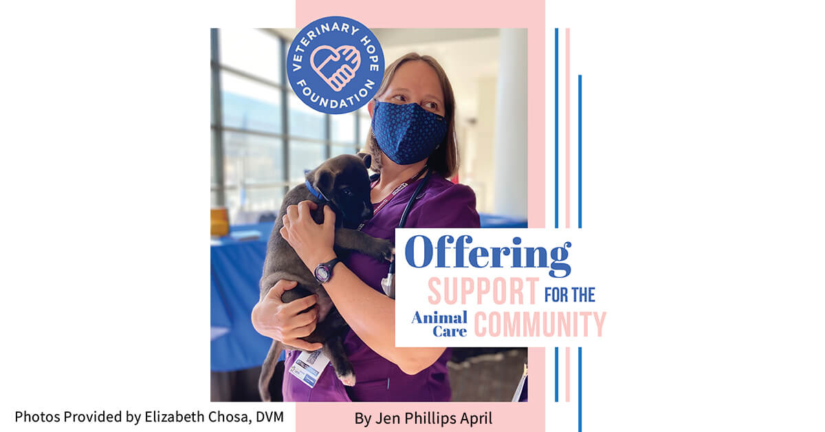 Veterinary Hope Foundation: Offering Support for the Animal Care ...